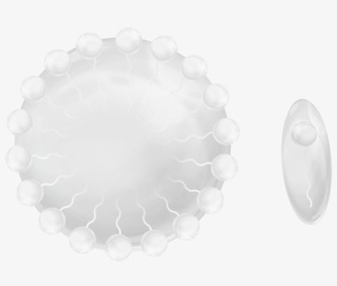 MyCell Technology® | Pure Bioavailability